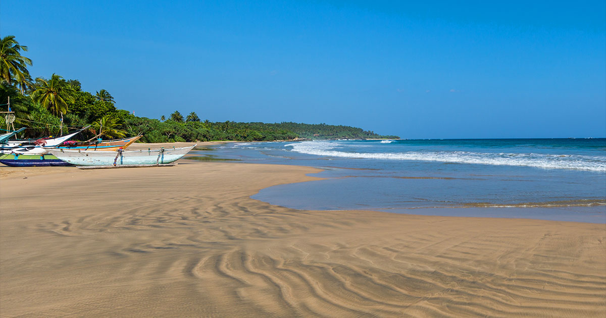 Bentota Beach Activities | Best Resort in Bentota ,Sri Lanka | Nyne Hotels